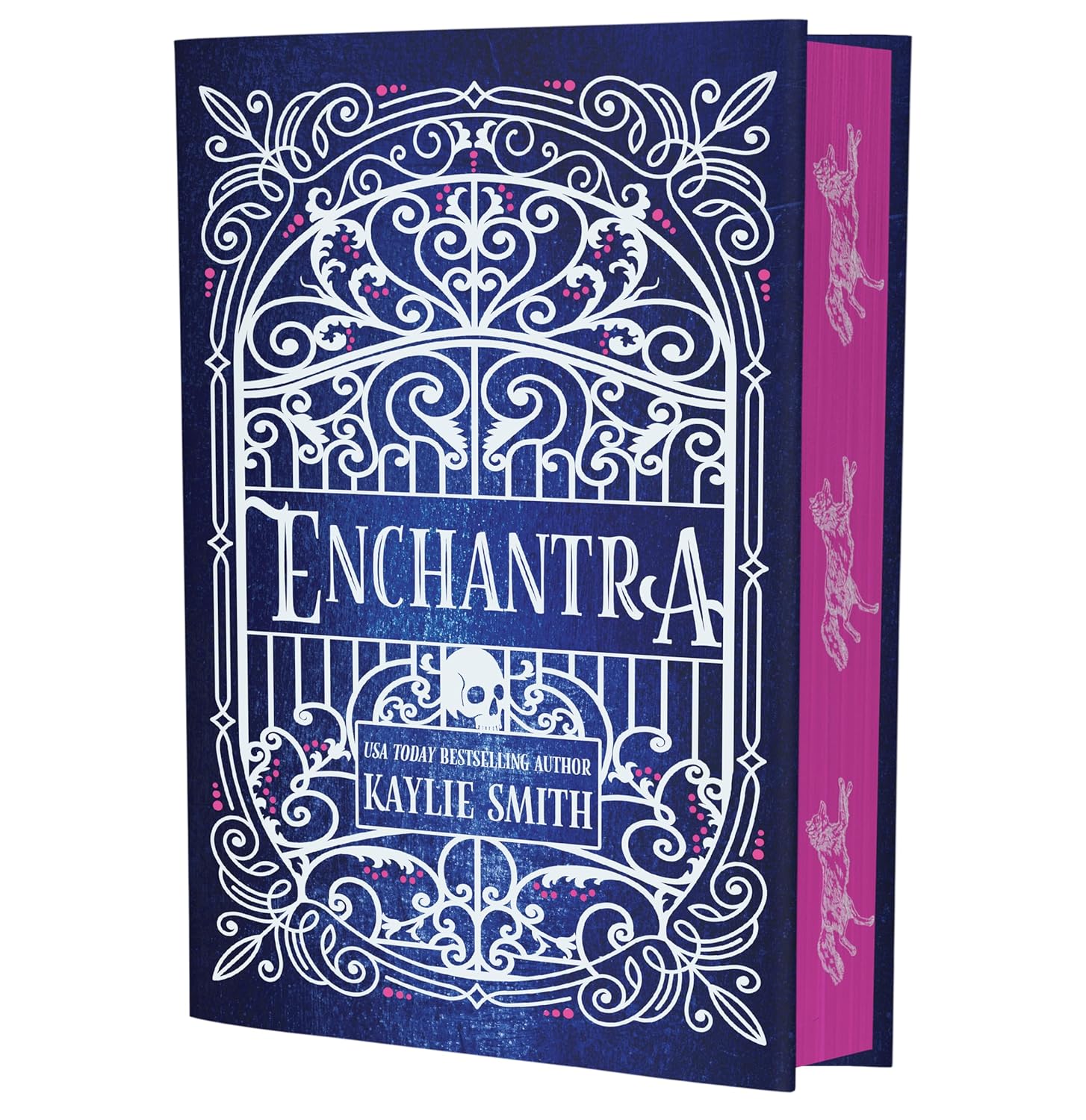 Enchantra (Deluxe Limited Edition) – Words on Pages Bookshop